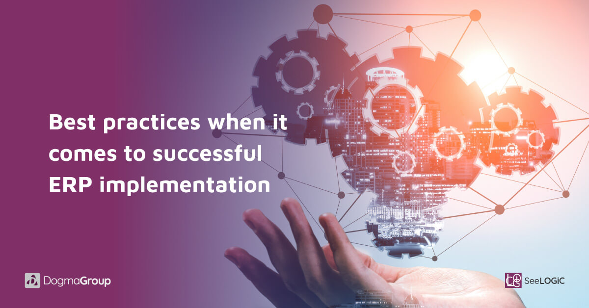 Successful ERP Implementation Plan Unlocked | SeeLogic